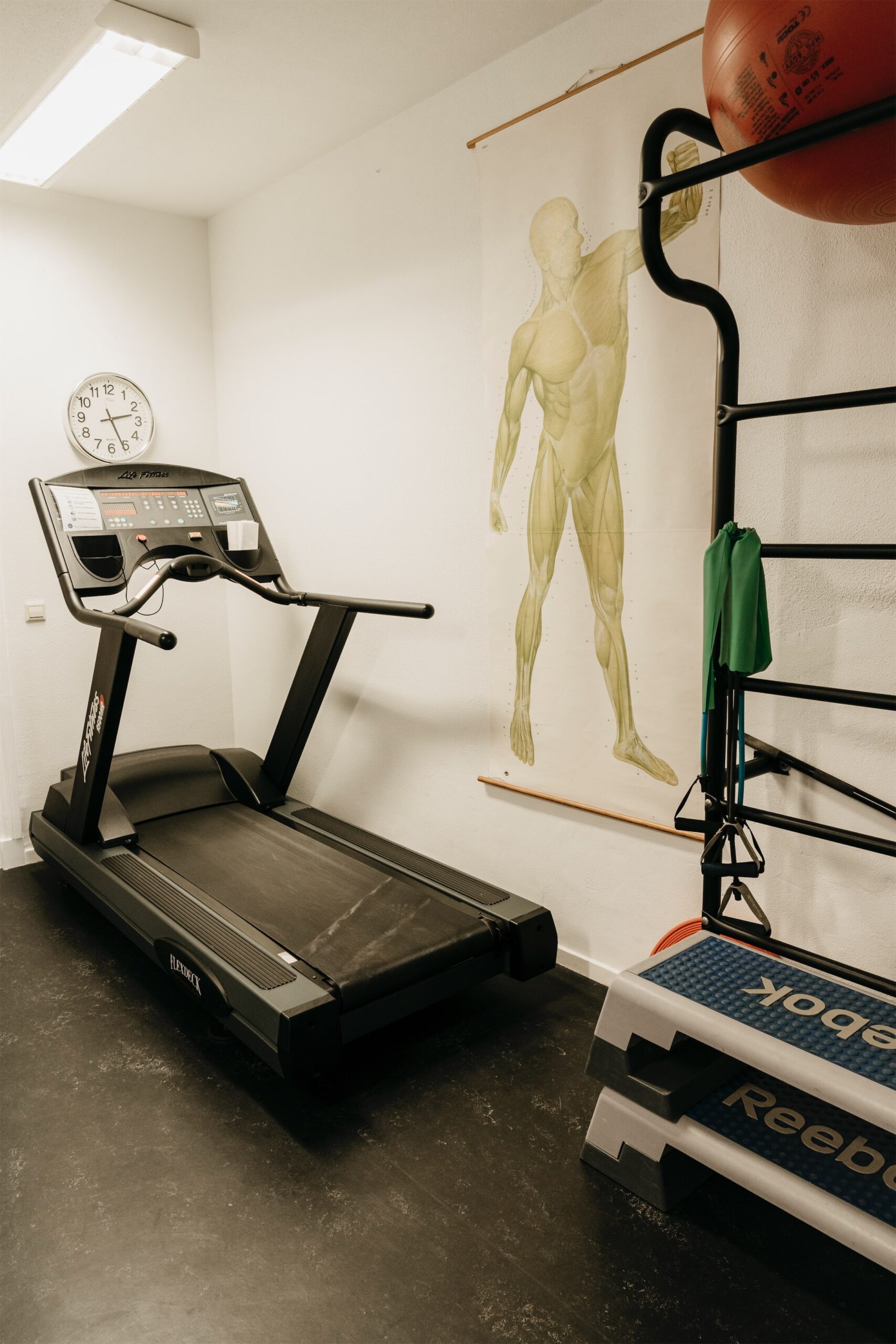 Dynamic Hip Screw (behandelingsvorm bij heupfractuur) - Praktijk Prins ...