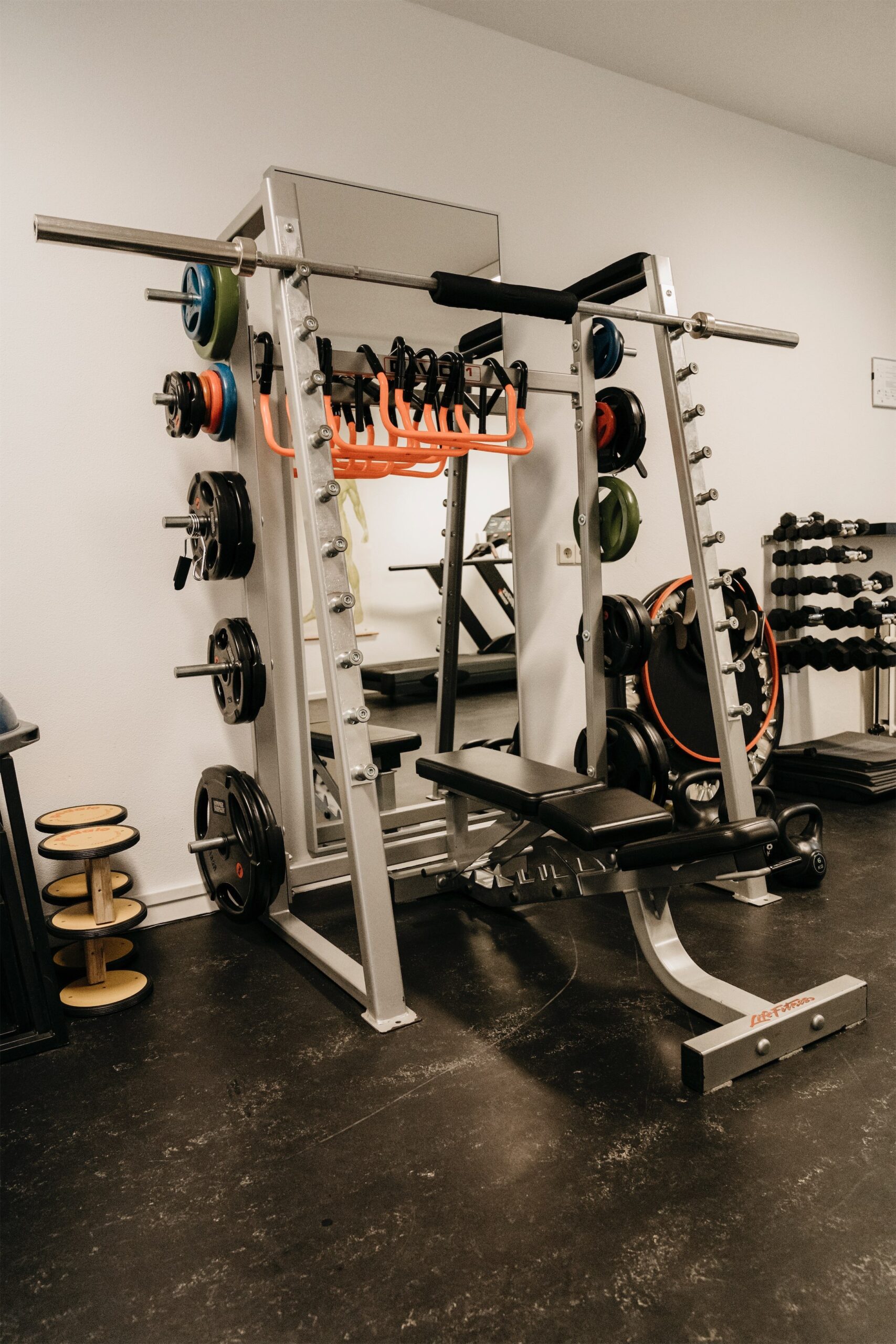 Dynamic Hip Screw (behandelingsvorm bij heupfractuur) - Praktijk Prins ...